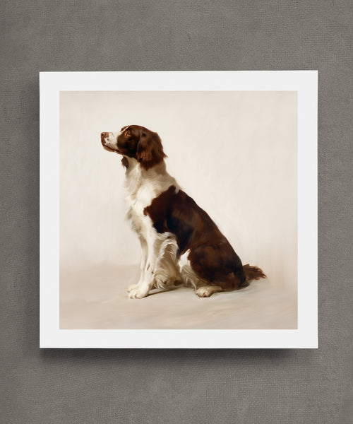 Portrait of a Seated Springer Spaniel – Hart Equestrian