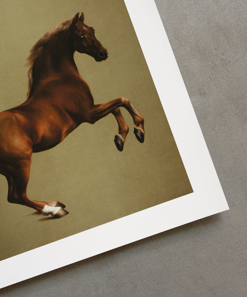 Whistlejacket Print by George Stubbs – Hart Equestrian